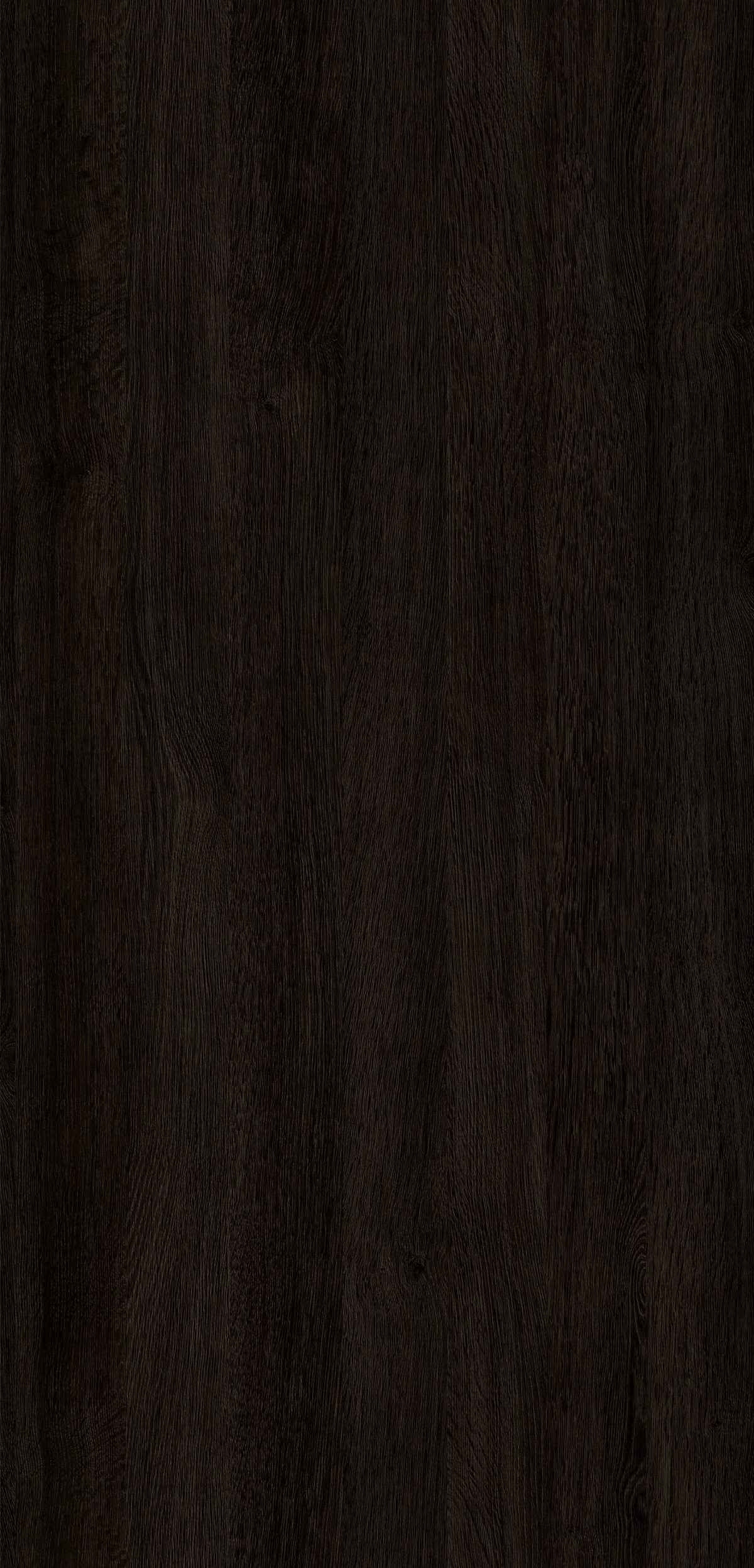 Carbone – Salt International