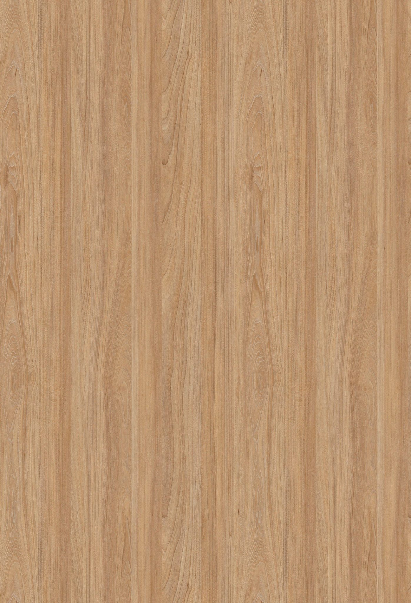 Olmo Miele – Salt International