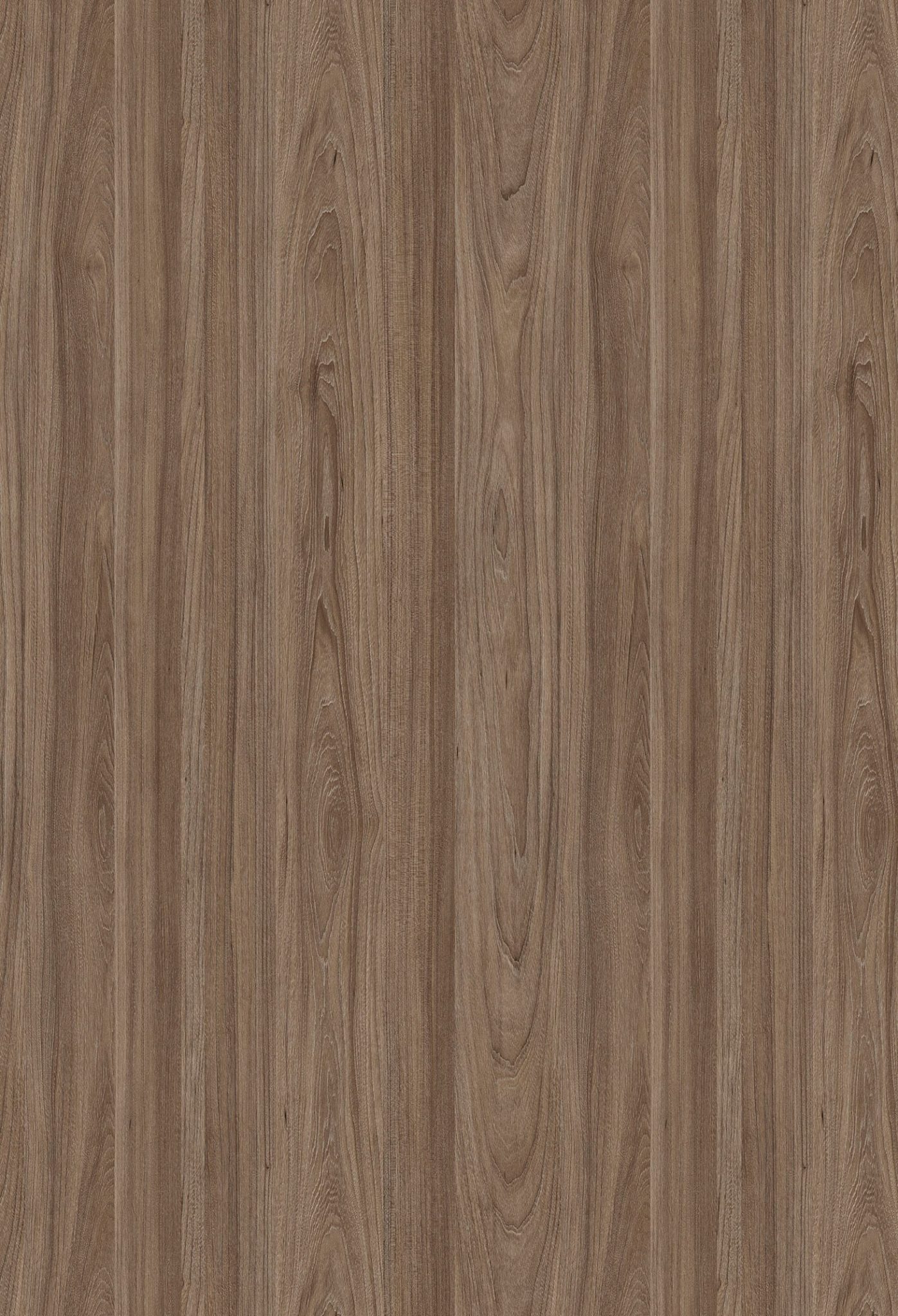 Olmo Café – Salt International