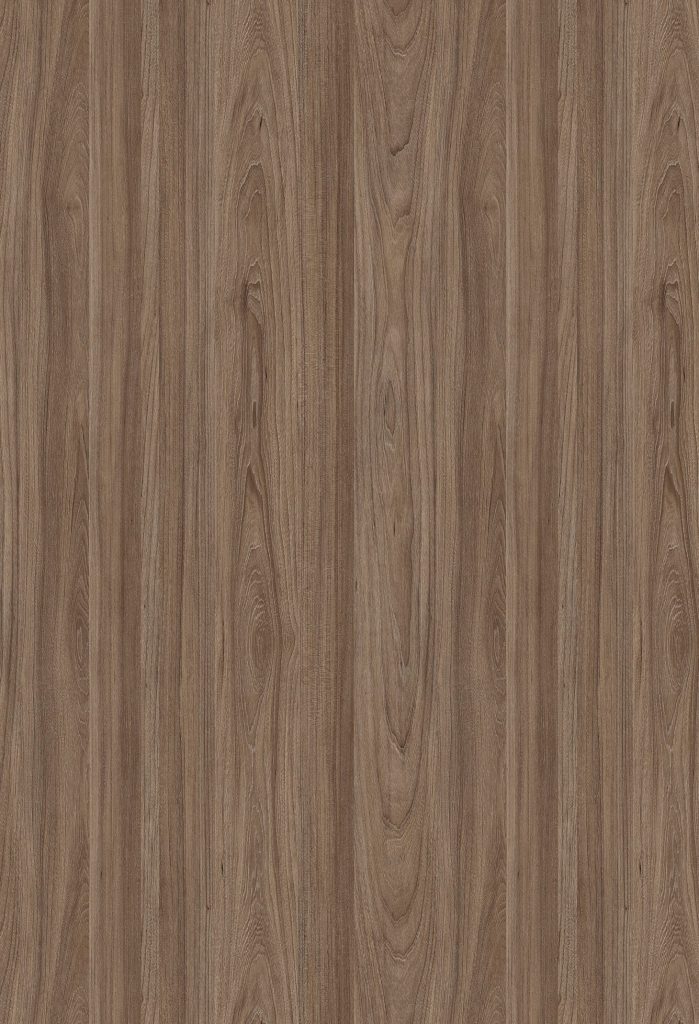 Olmo Café – Salt International