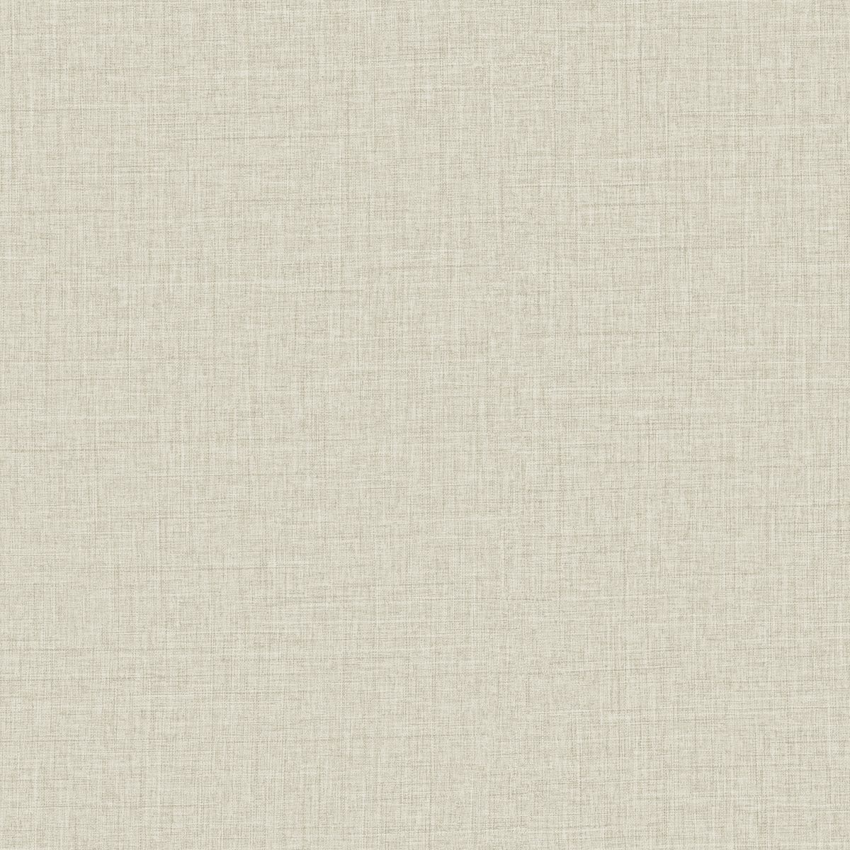 Saviola – Salt International