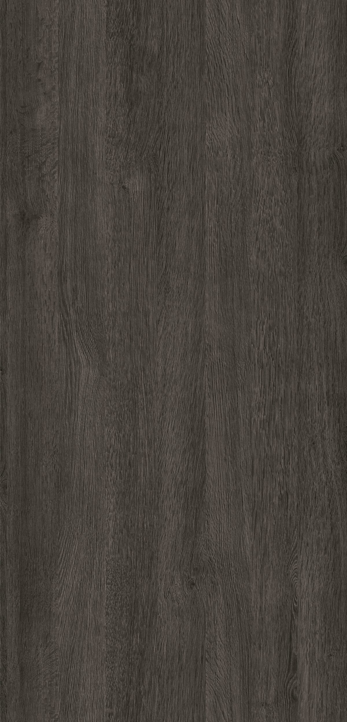 Rovere Grigio – Salt International