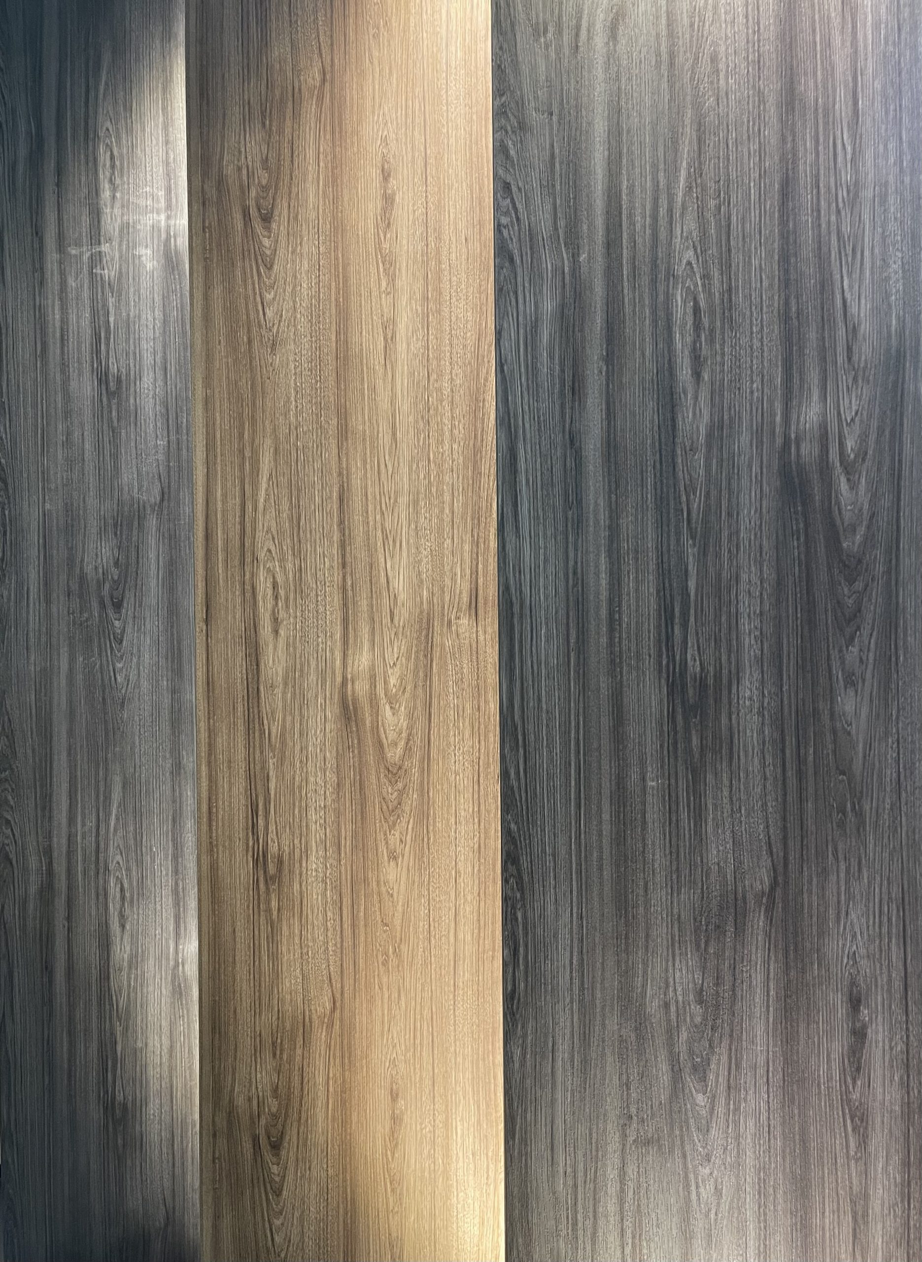 About Us – Salt International