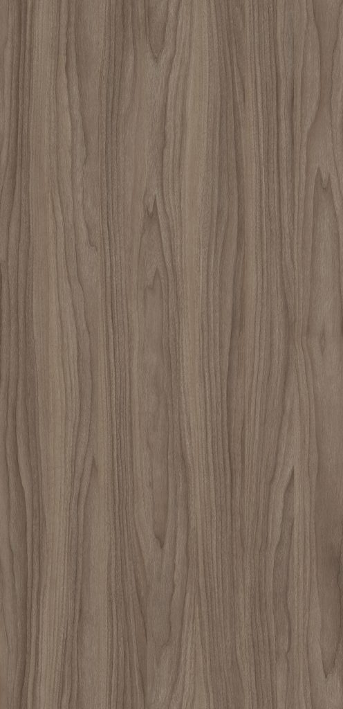 Noce Vanguard – Salt International