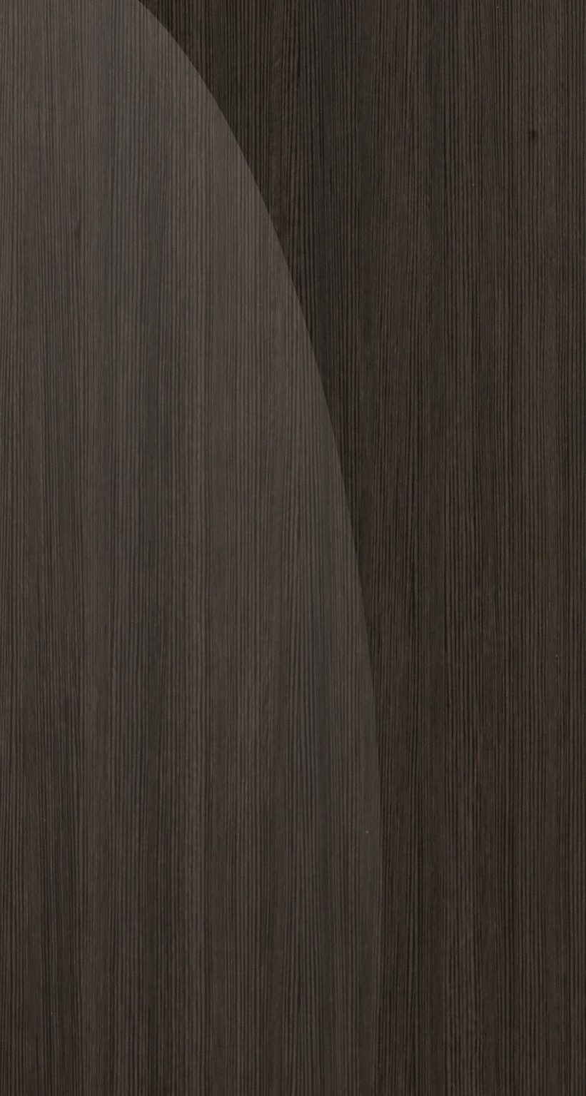 Carbone – Salt International