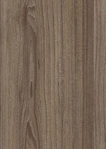 Olmo Café – Salt International