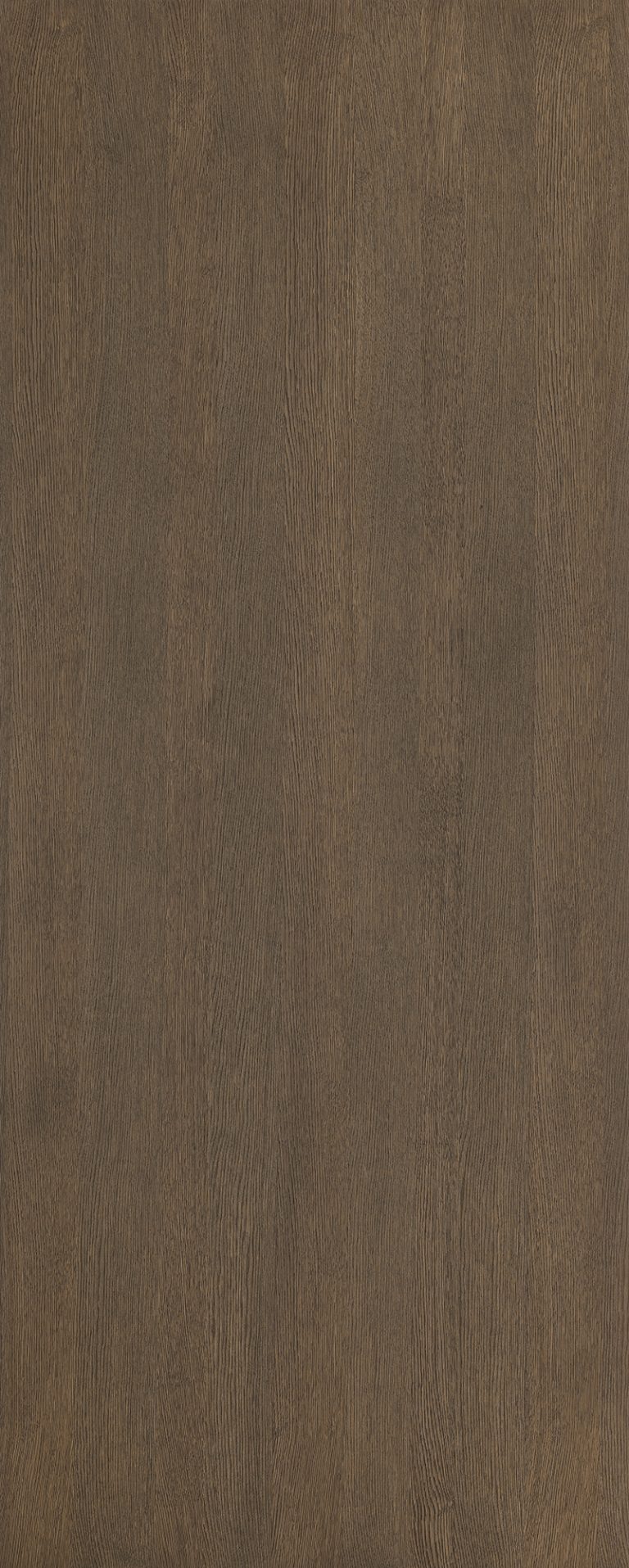 Rovere Firenze – Salt International