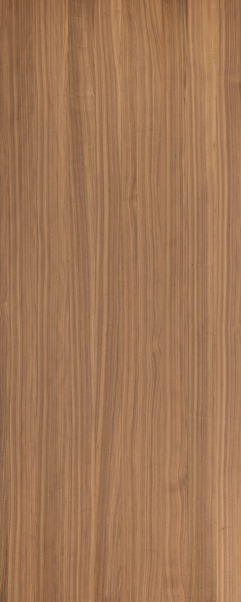 Noce Naturale – Salt International