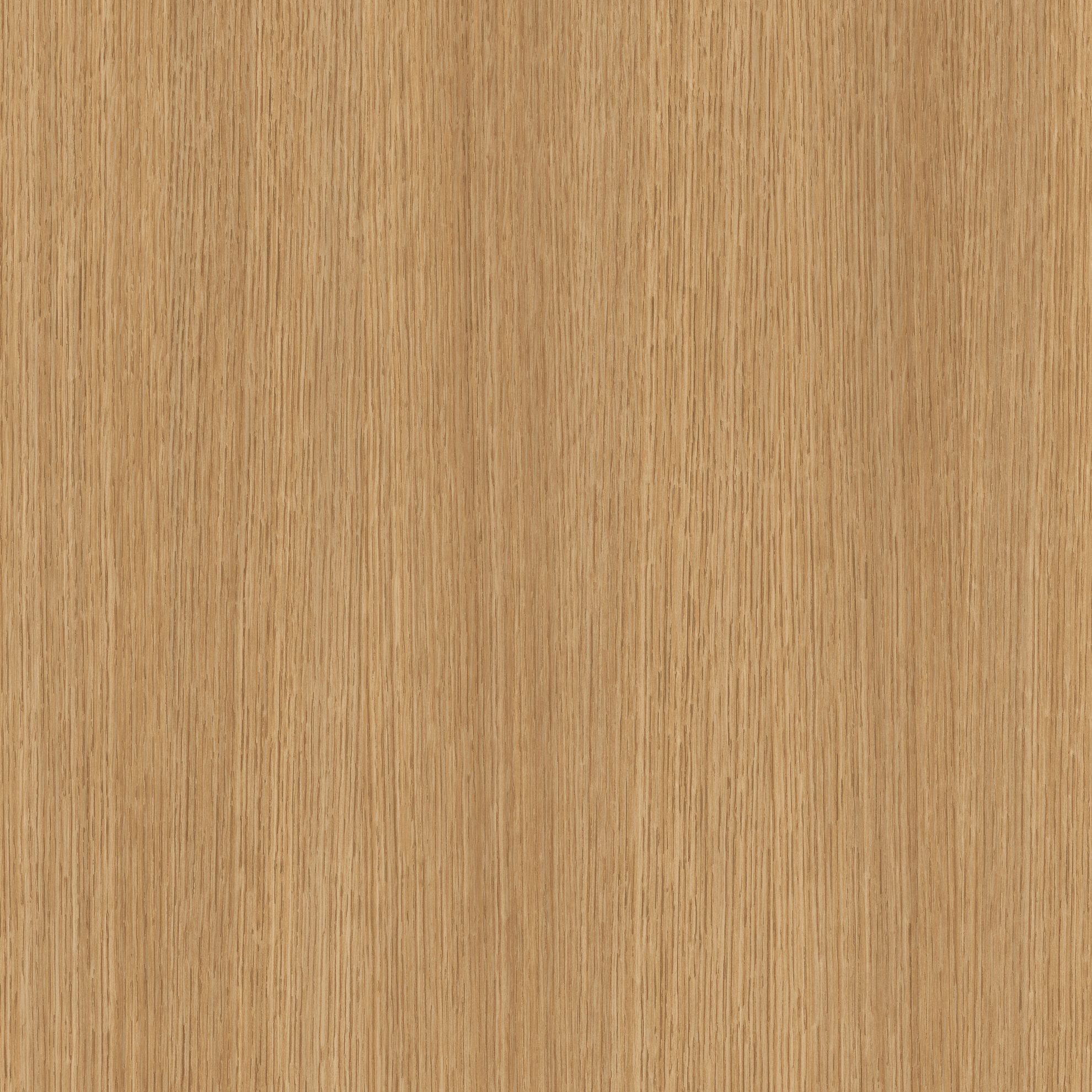 Saviola – Salt International