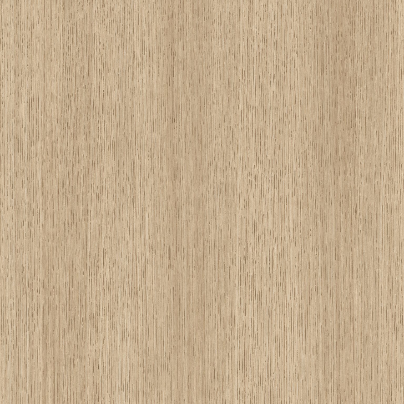 Saviola – Salt International