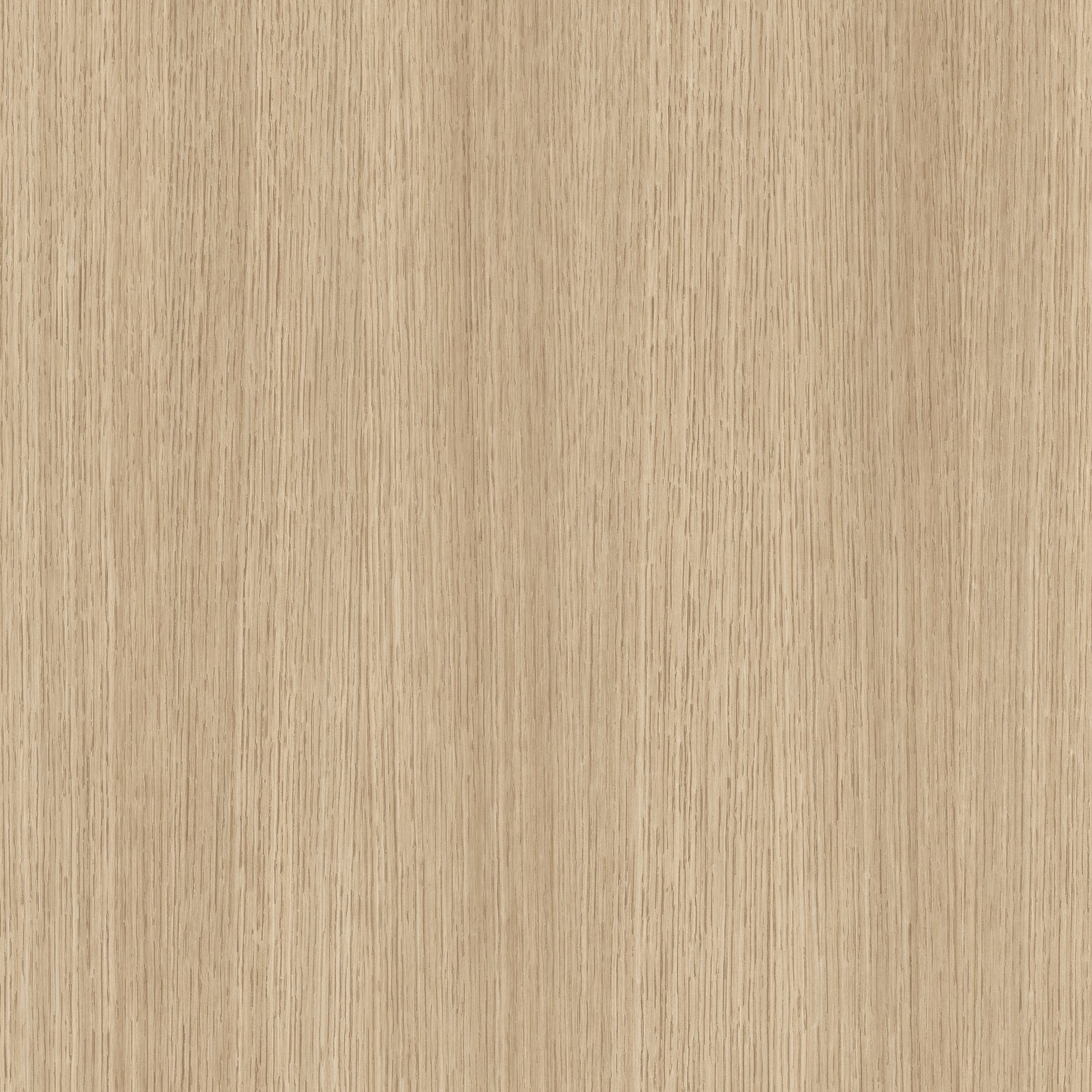 Saviola – Salt International